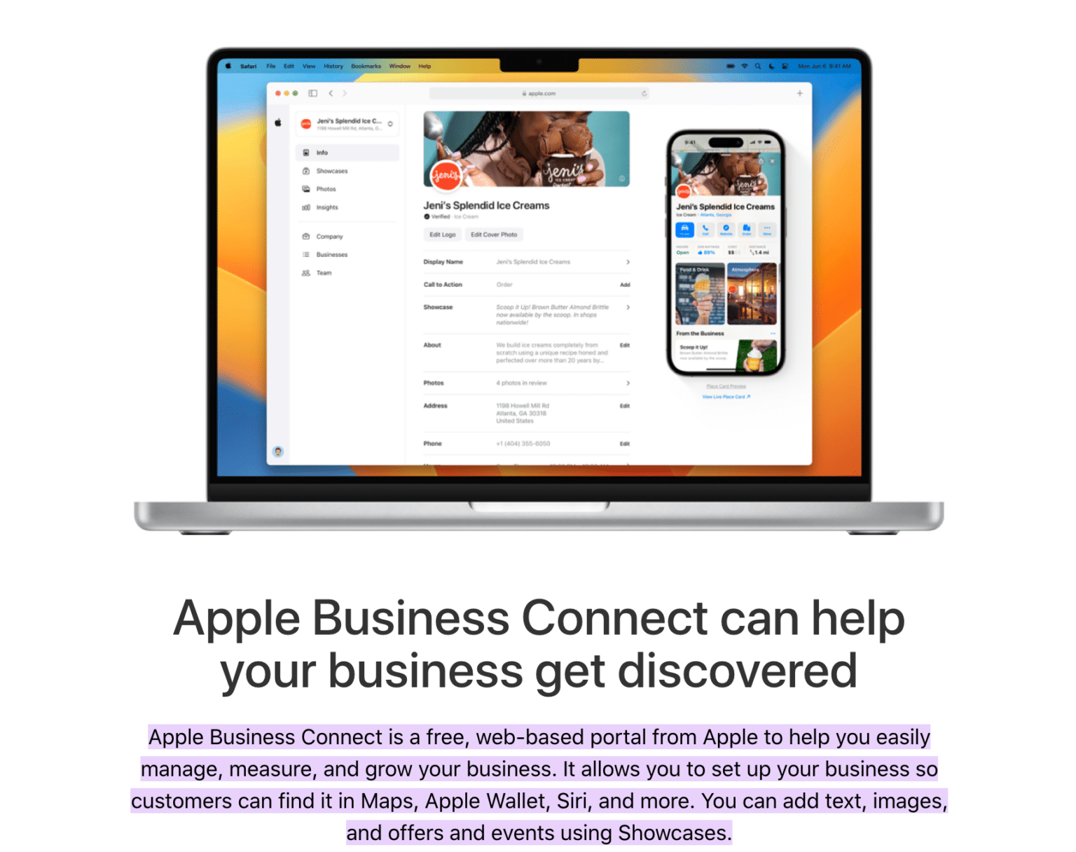 What is Apple Business Connect? The Quick-Start Guide | WolfPack